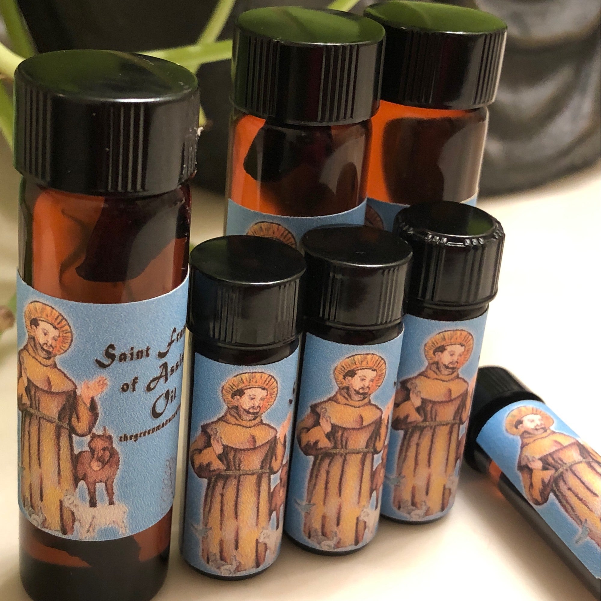 St Francis of Assisi Oil | The GreenMan Studios 771 East Southlake Blvd ...